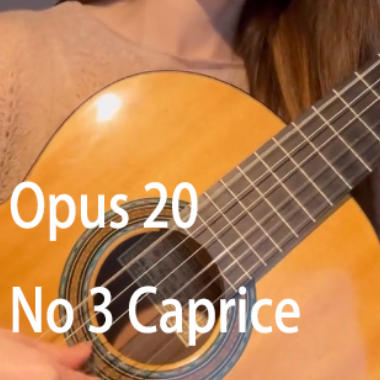 Opus 20 吉他谱|路易吉·莱尼亚尼-Luigi Rinaldo Legnani|免费浏览|GTP格式在线播放 - 精品吉他谱 - WWW.JPTAB.COM